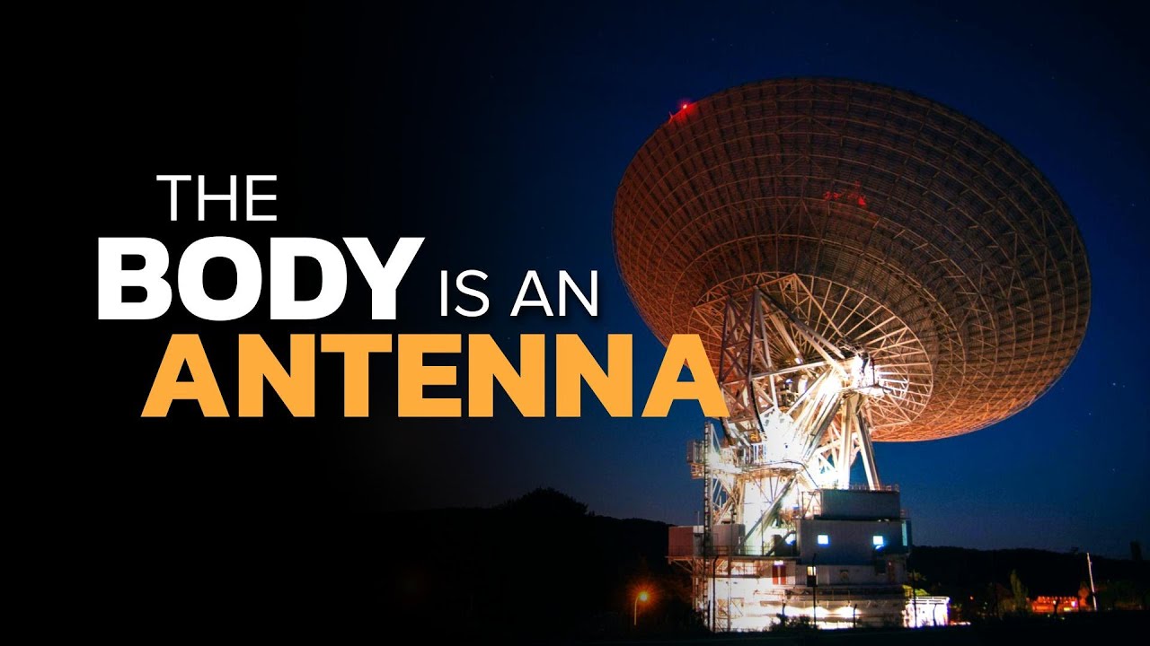 The Human Body Is an Antenna: How Inspiration Finds Us [CLIP] - YouTube