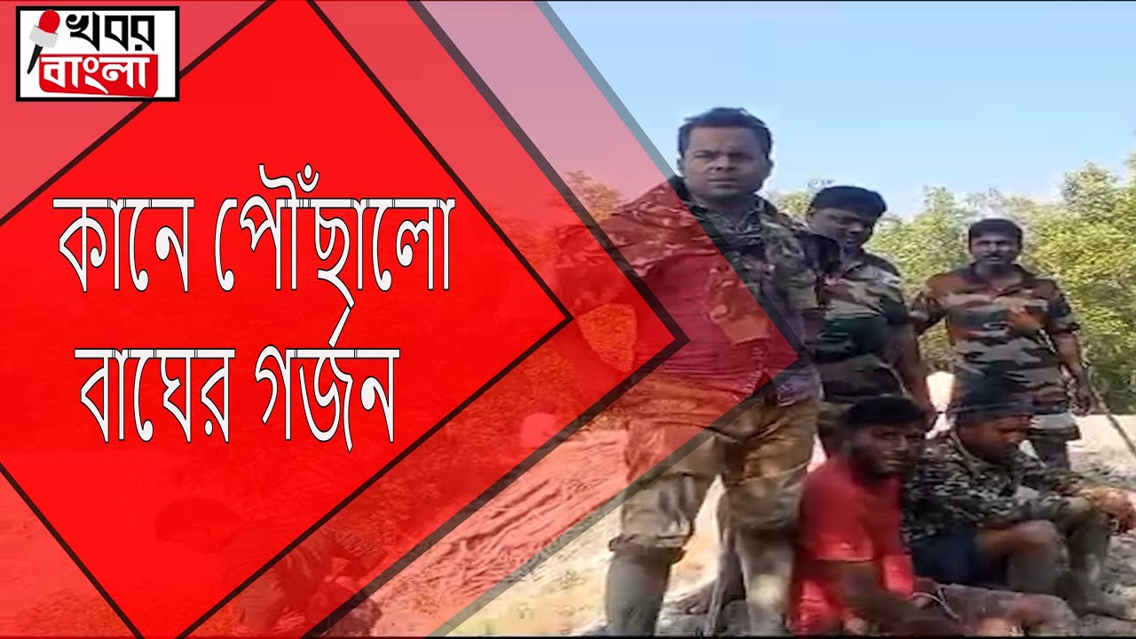 PATHARPRATIMA : কানে পৌঁছালো বাঘের গর্জন II KHABOR BANGLA II @followers ...