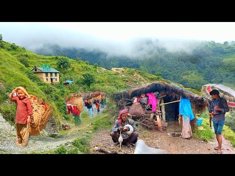 This is Himalayan village life in Nepal||daily Activities people in ...