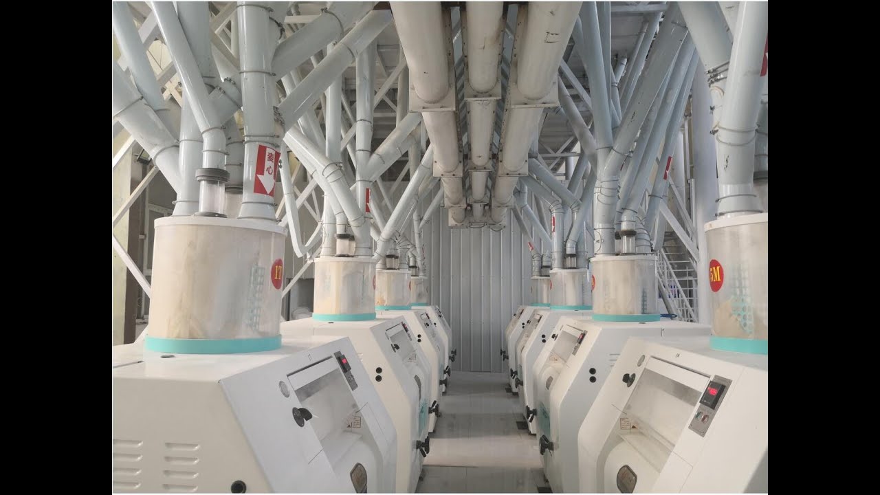 80--100 ton wheat flour roller mill milling machine line - YouTube