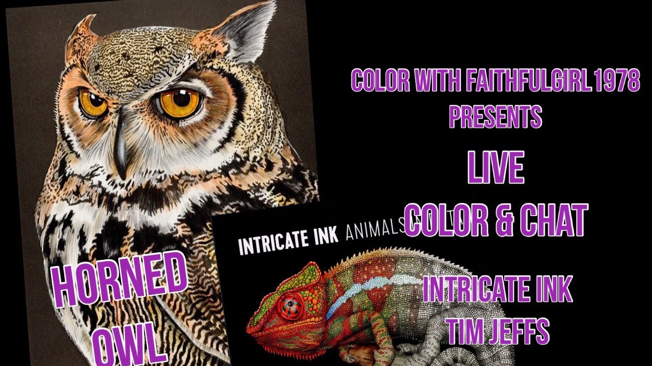 LIVE COLOR & CHAT | Intricate Ink Tim Jeffs Book 1 - YouTube