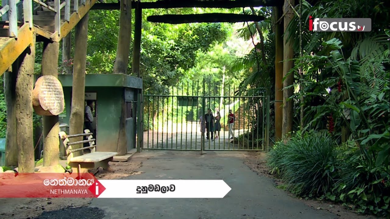 නෙත්මානය - Neth manaya -Dunumadalawa - YouTube
