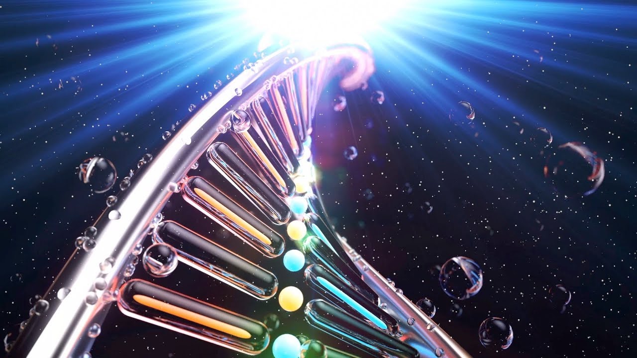 DNA 💫 The Living Truth of GOD 💫 The Infinite SOURCE of CREATION 💫 ...