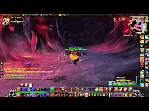 WoW - Tiny Shale Spider mini-pet - YouTube