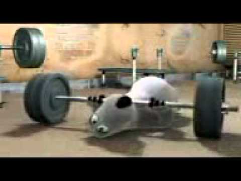 Bernard Bear-The Gym.3gp