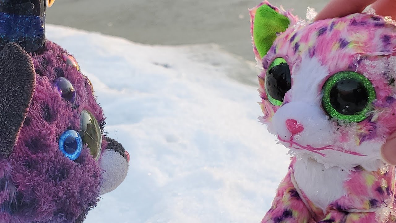 Throwing Beanie Boos on The FROZEN Ohio River 🥶😼 - YouTube