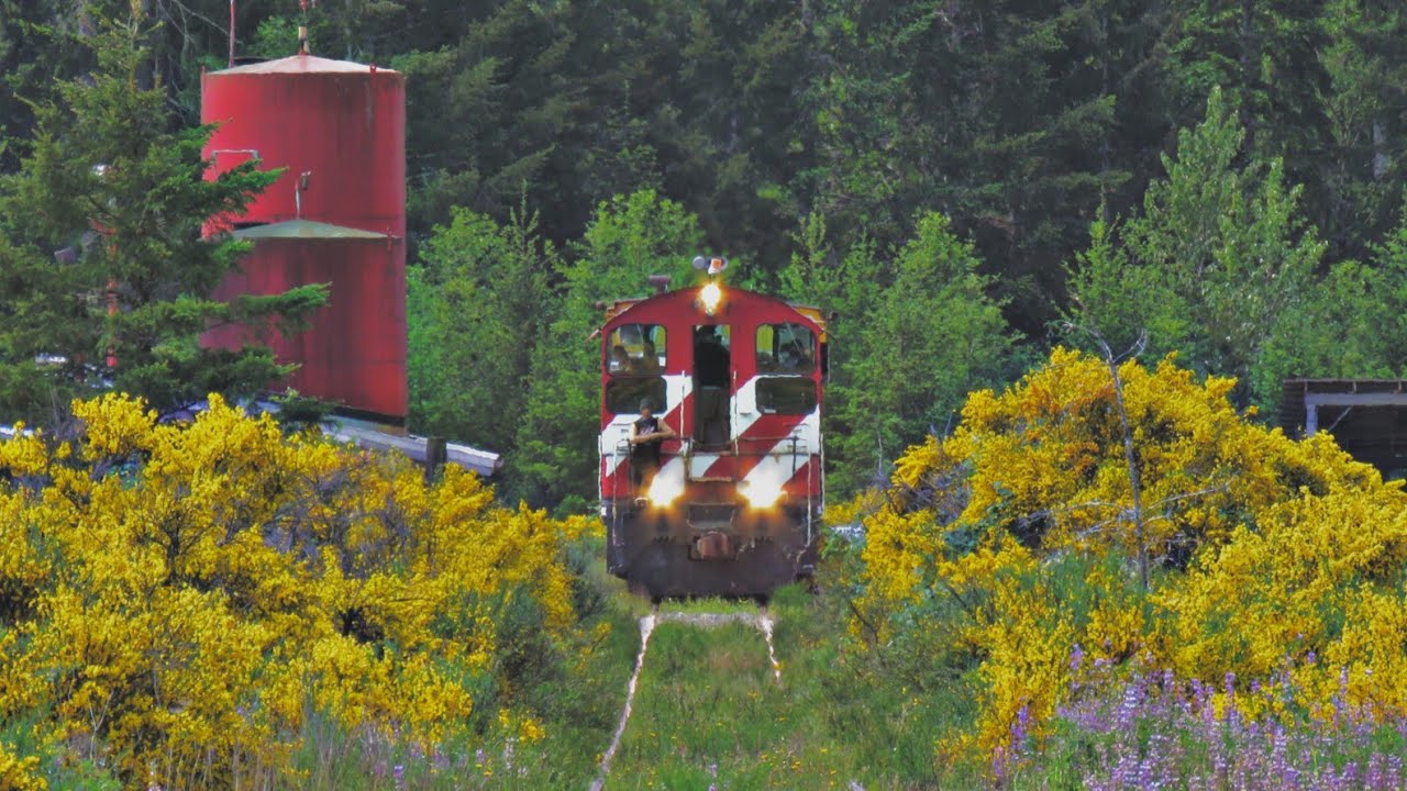 Memorial Day Caboose Hop on the Simpson Timber Railroad [5/31/2021 ...