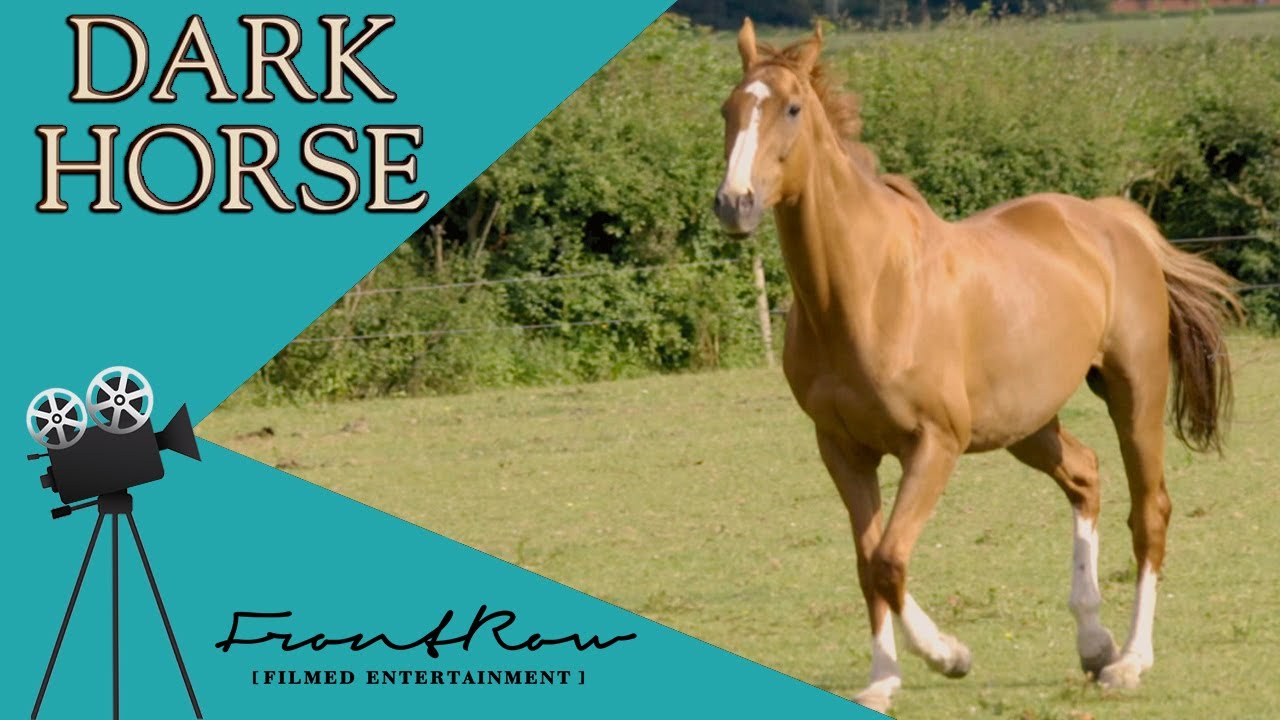 He Did A Brilliant Job For All Of Us | Dark Horse 2015 Documentary ...