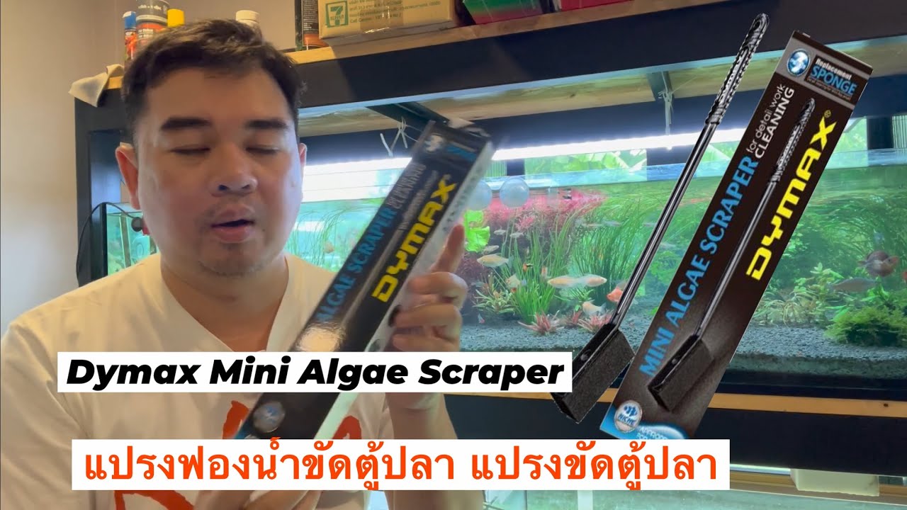 รีวิว Dymax Mini Algae Scraper แปรงฟองน้ำขัดตู้ปลา แปรงขัดตู้ปลา - YouTube