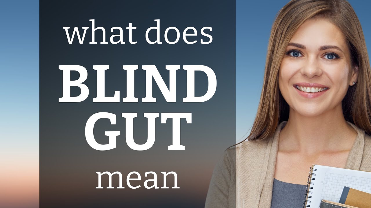 Blind gut | BLIND GUT definition - YouTube