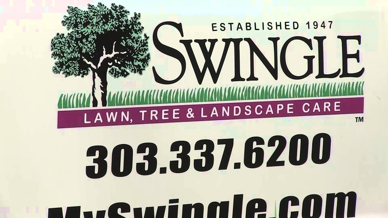 Swingle Lawn, Tree & Landscape Care Testimonial - YouTube