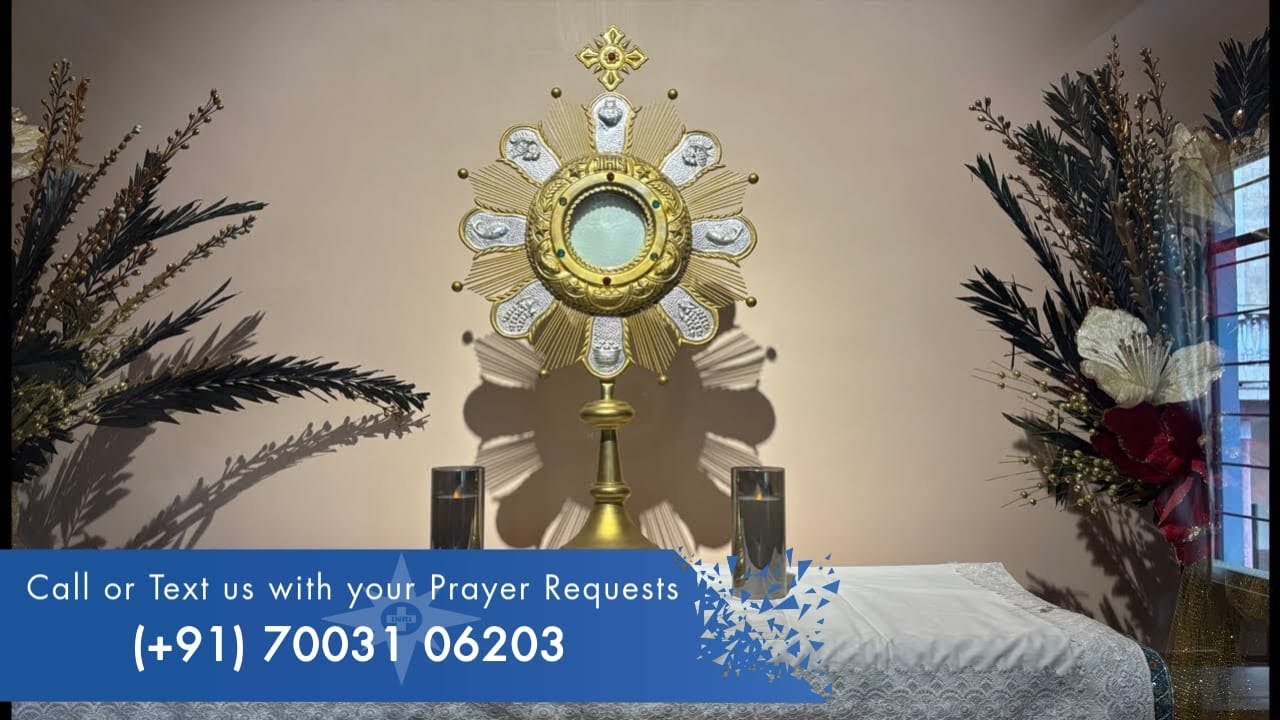 Maria Vision India is live - YouTube