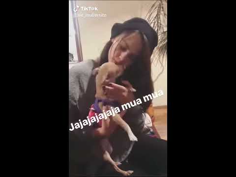 Alejandra Müller tik tok#2 - YouTube