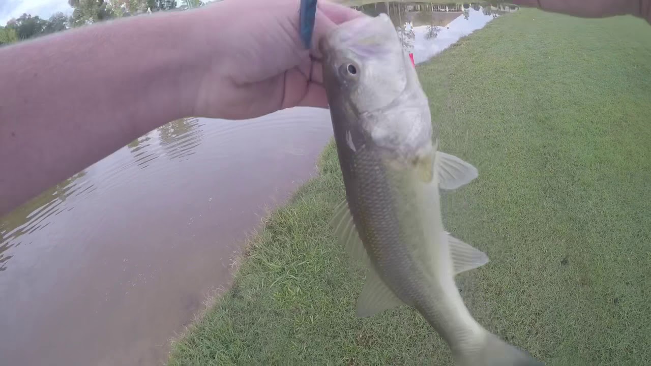 Mississippi pond fishing!! - YouTube