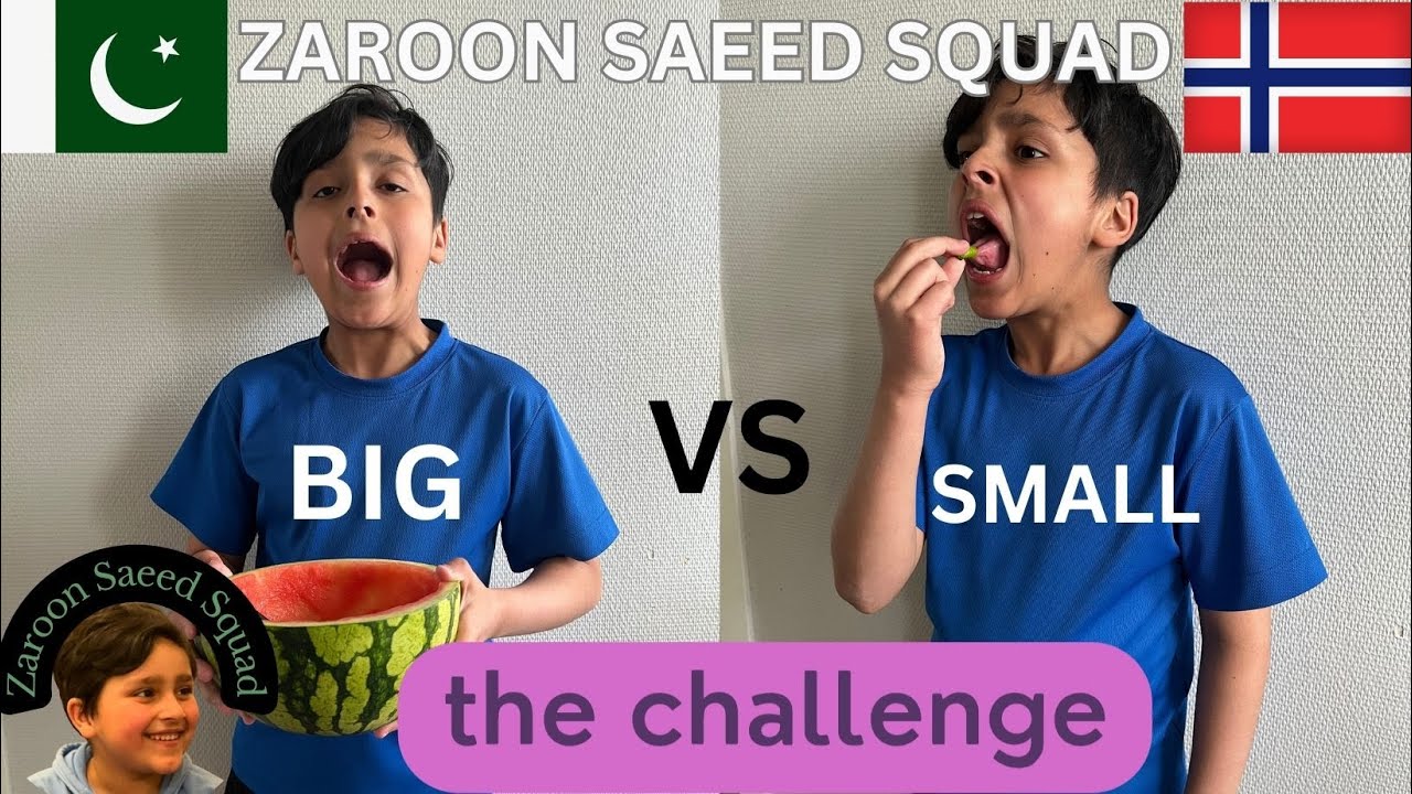 big vs small challenge | funny challenges | nordic challenges - YouTube