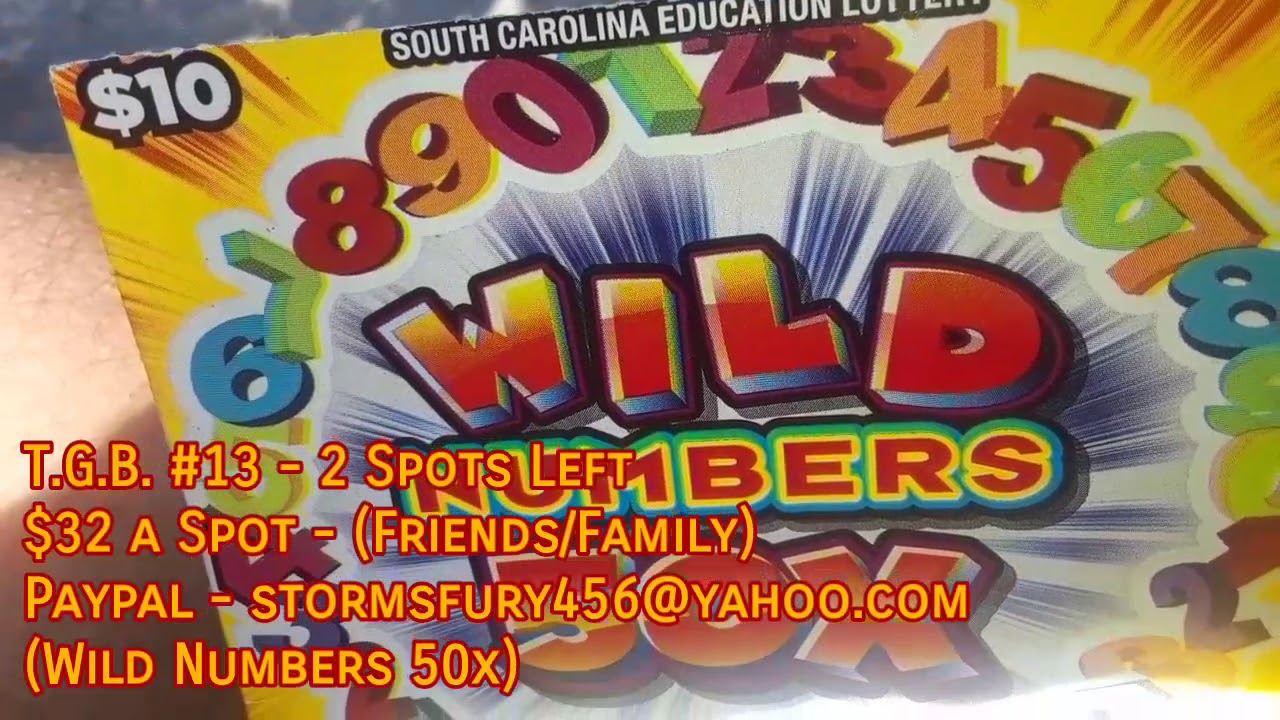 FULL! Wild Numbers 50x GOING LIVE SHORTLY! - YouTube