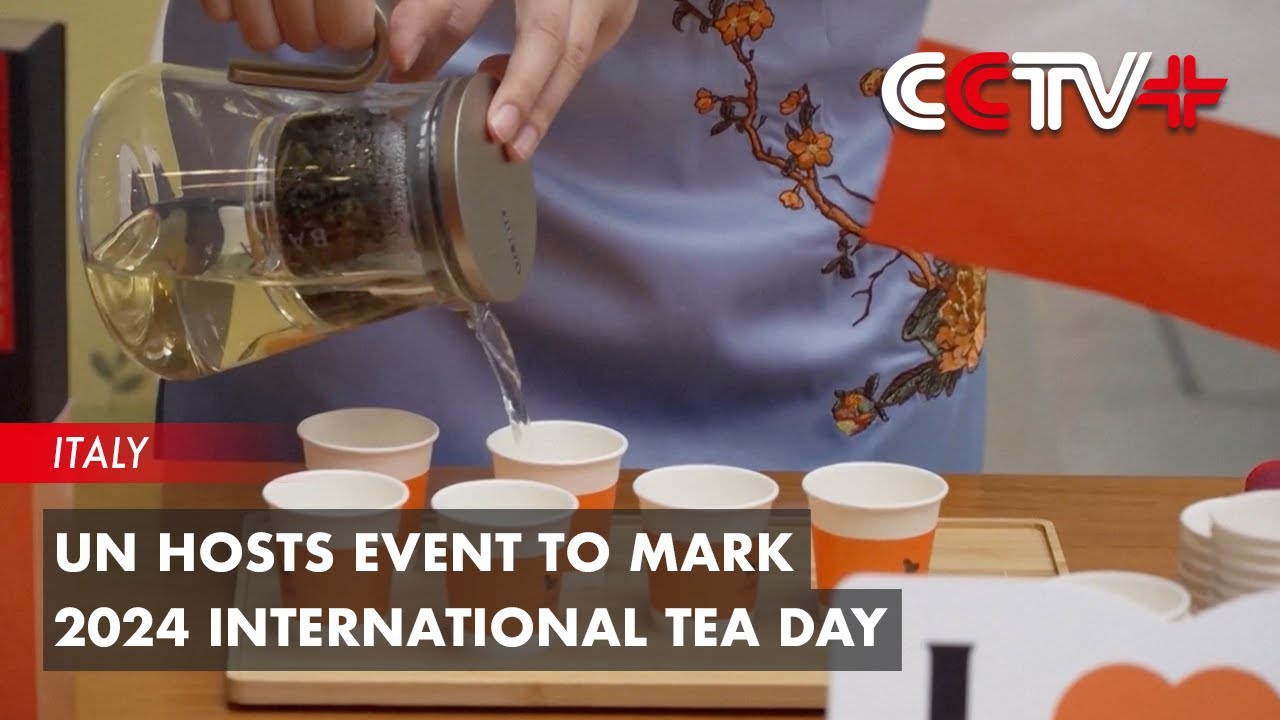 UN Hosts Event to Mark 2024 International Tea Day - YouTube