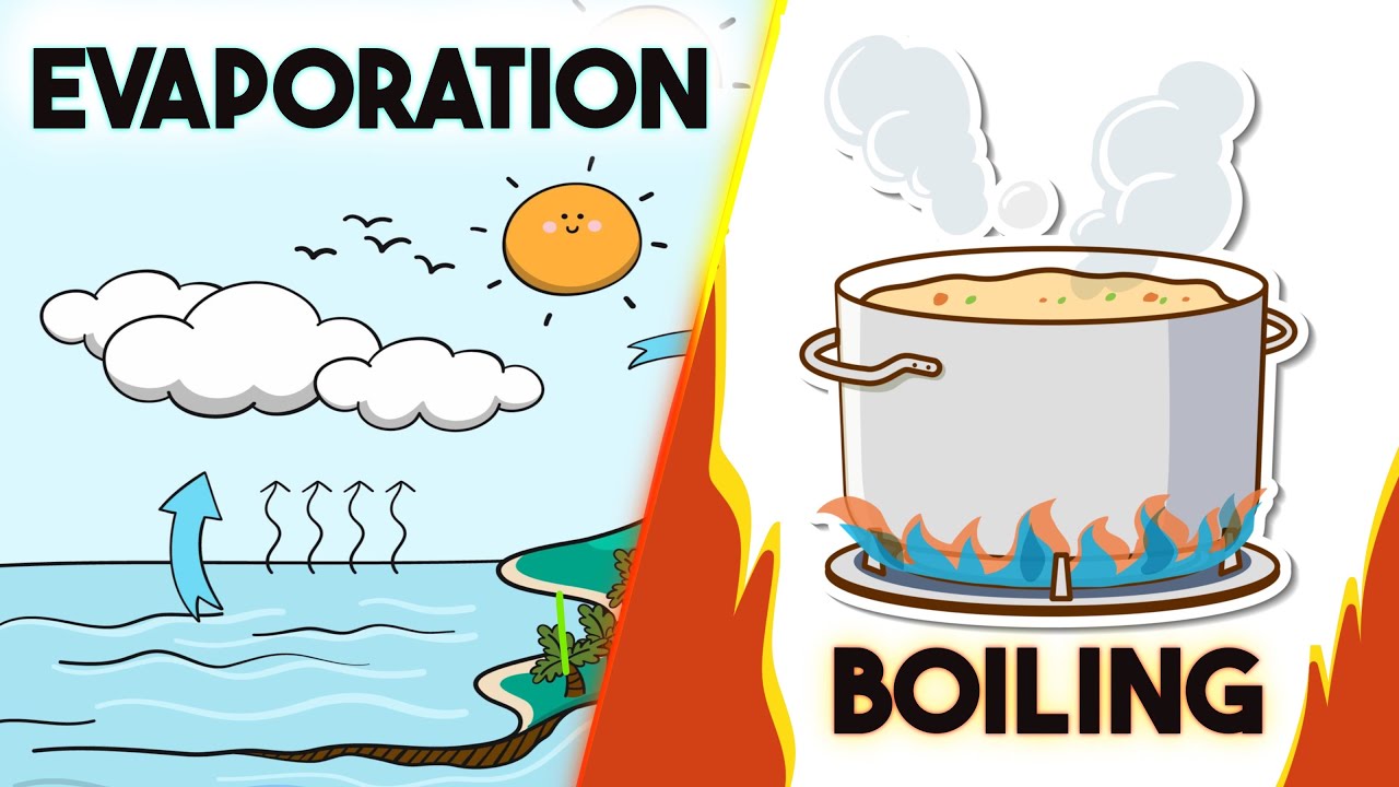 Evaporation and Boiling ♨️ - YouTube