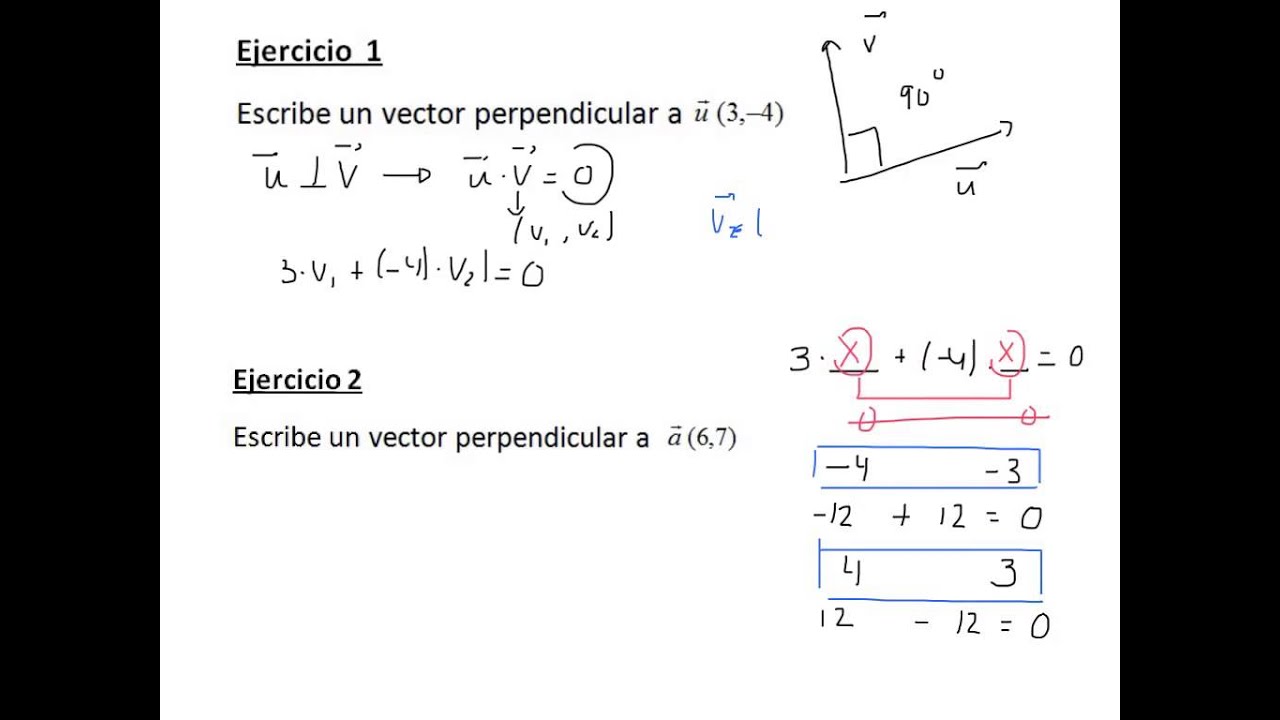 Que Son Los Vectores Que Son Los Vectores