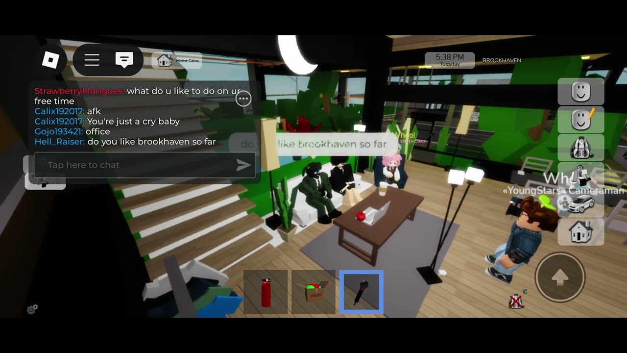 Roblox Brookhaven Interviews - YouTube