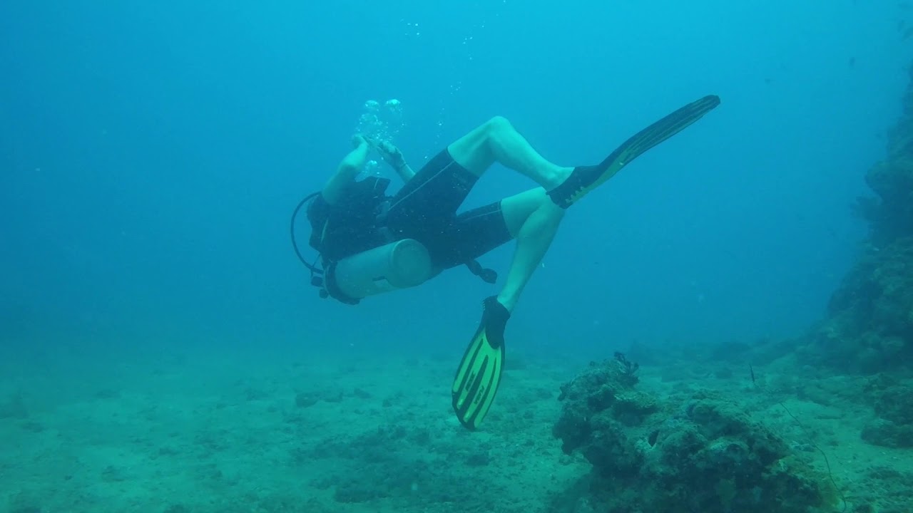 Sunflower Pinnacle Fiji Dive - YouTube