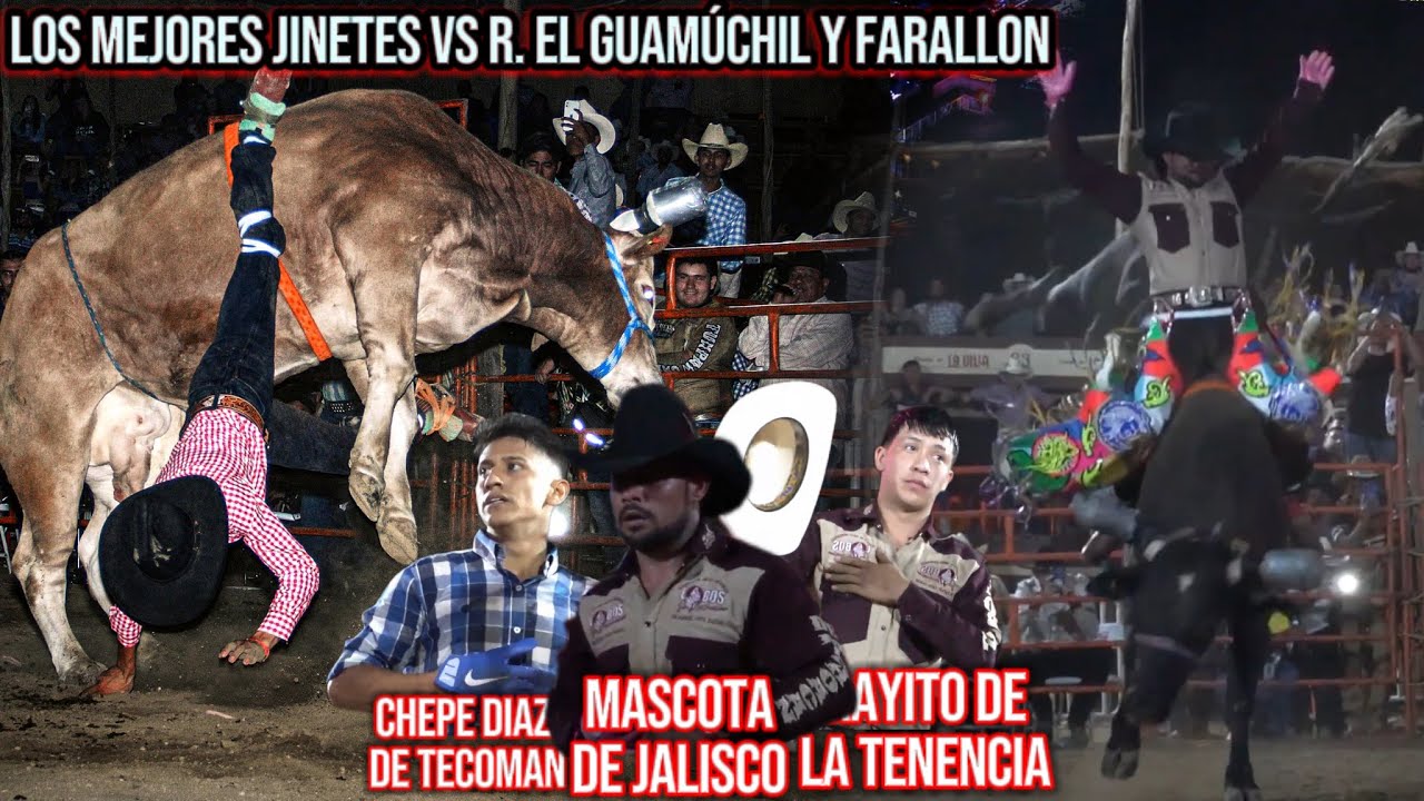 INCREÍBLE//RAYITO DE LA TENENCIA,MASCOTA DE JAL,CHEPE DÍAZ//EL ...