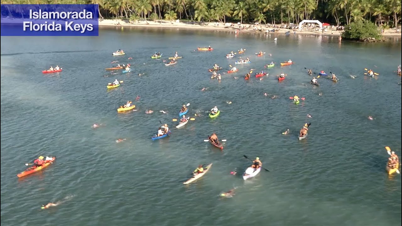 2015 Swim for Alligator Lighthouse - YouTube