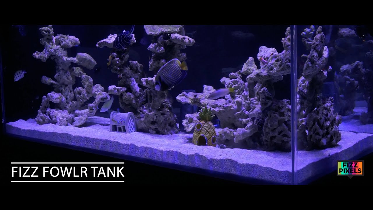 Fowlr Tank - YouTube