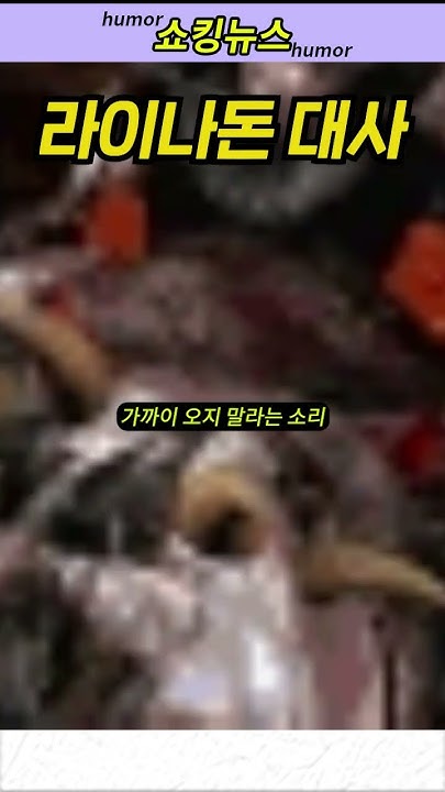 스타크래프트 라이나돈 대사 모음 Youtube
