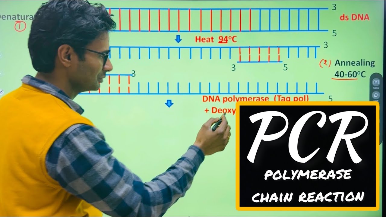 PCR| Polymerase Chain Reaction |Biotechnology| Principle and Processes ...