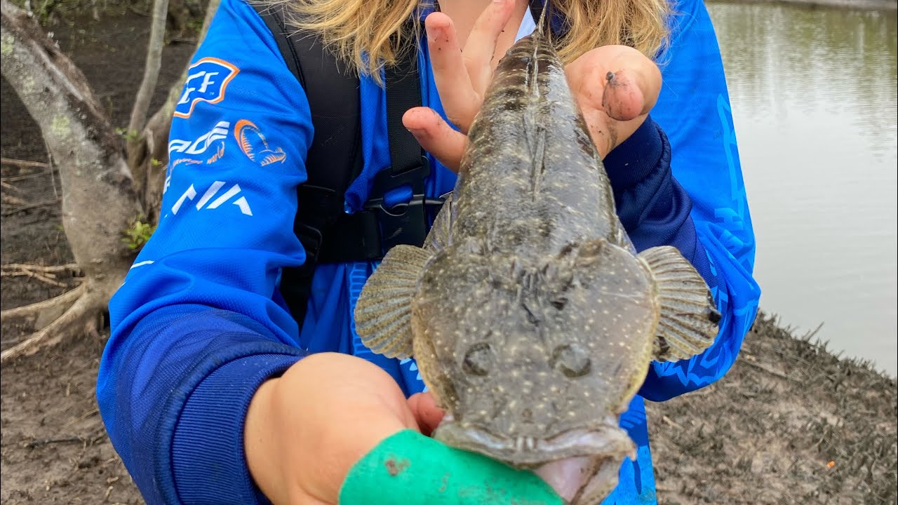 Flatty fish in a small creek - YouTube