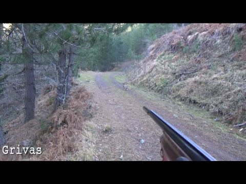 Κυνηγι Λαγου: Grivas Ομορφιες 292 :Δεν ειναι η Ατυχια του...ειναι ο ...