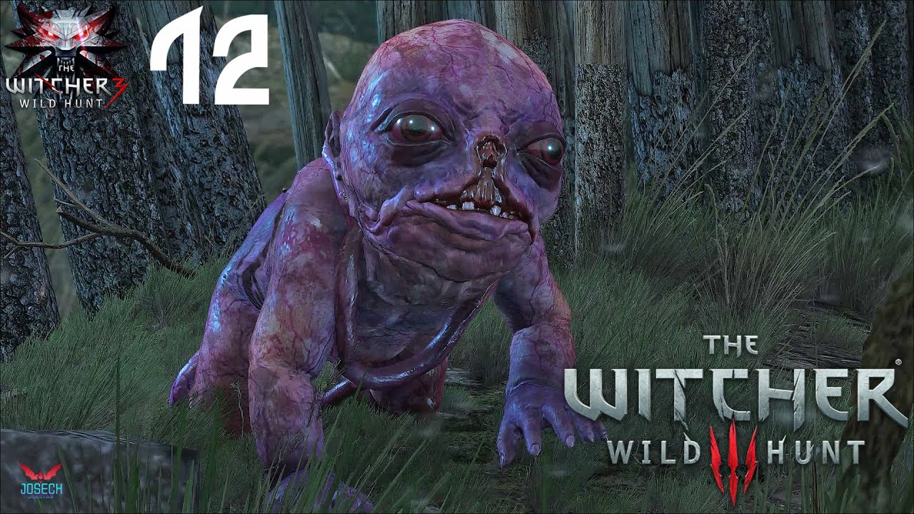 The Witcher 3 - Wild Hunt Episode 12 : Family Matters Part 03 - The ...