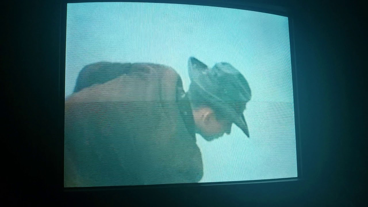 Hey Travis Crabtree - Legend of Boggy Creek - YouTube