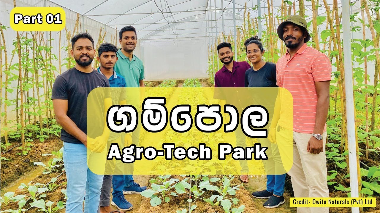 Future of Farming: Climate-Smart Organic Agri Park Tour - YouTube