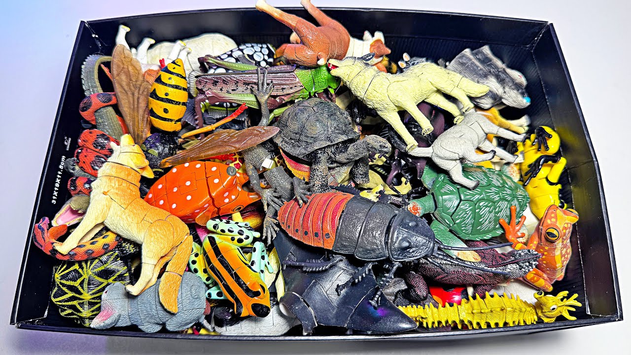 3D Sea Animals & Wild Animals Puzzles - Shark, Whale, Polar Bear, Lion ...