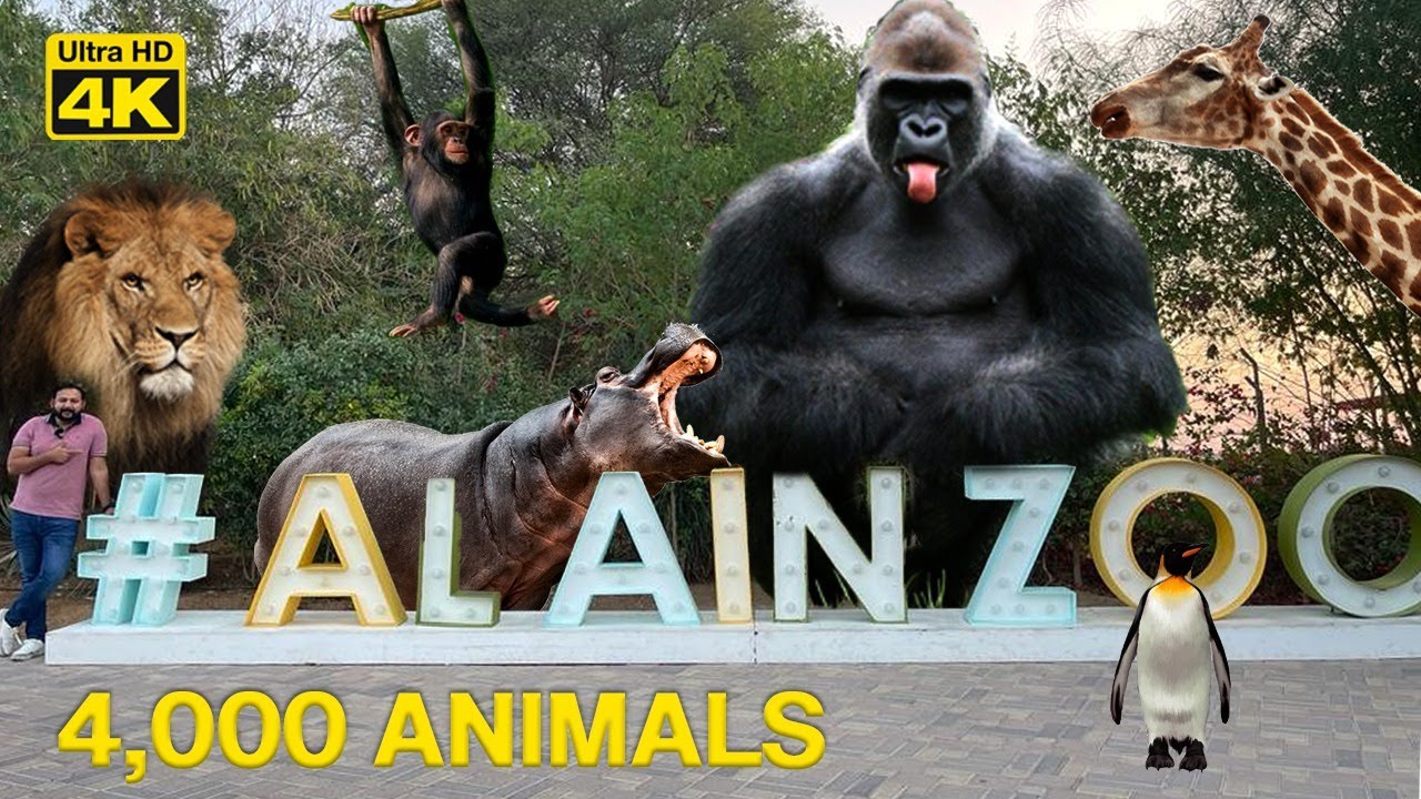 Visiting The Al Ain Zoo (in HD 4 K) - YouTube