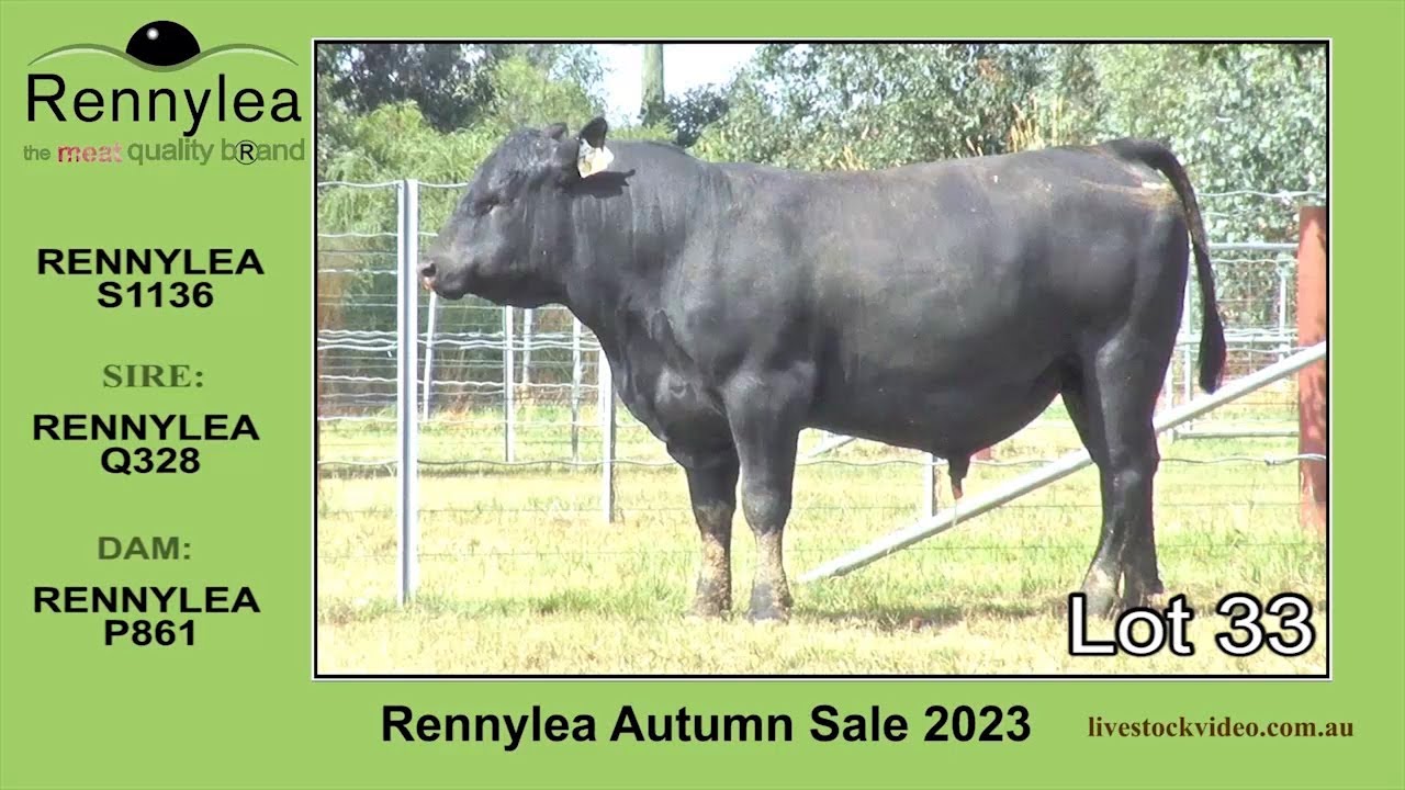 Lot 33 Rennylea March 2023 - YouTube