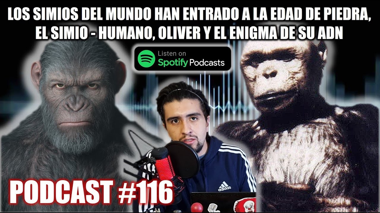 Oliver, el Simio-Humano: Simios Están Entrando a la Edad de Piedra ...