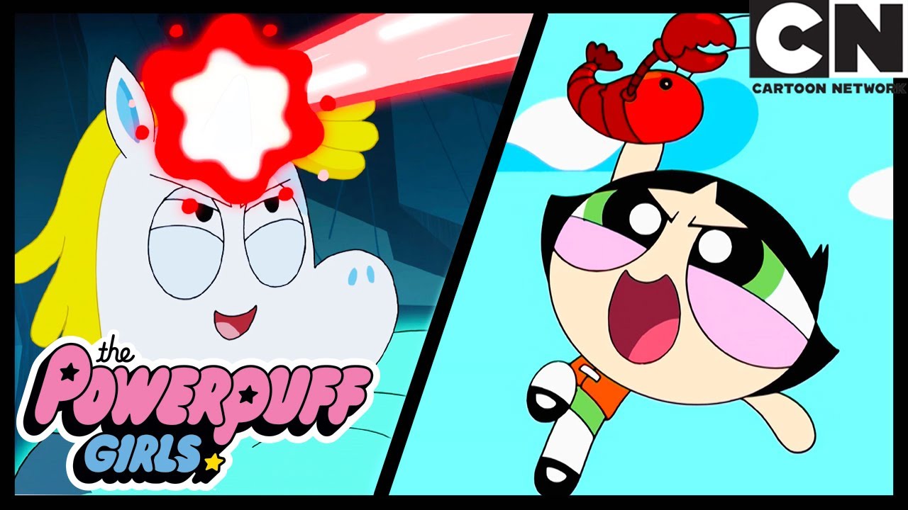 It's Animal Week! | Powerpuff Girls | Cartoon Network - YouTube