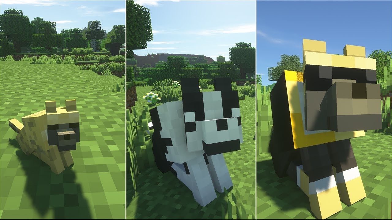 New Breeds of Dogs? (Mod Showcase | Doggy Talents 1.16.5) - YouTube