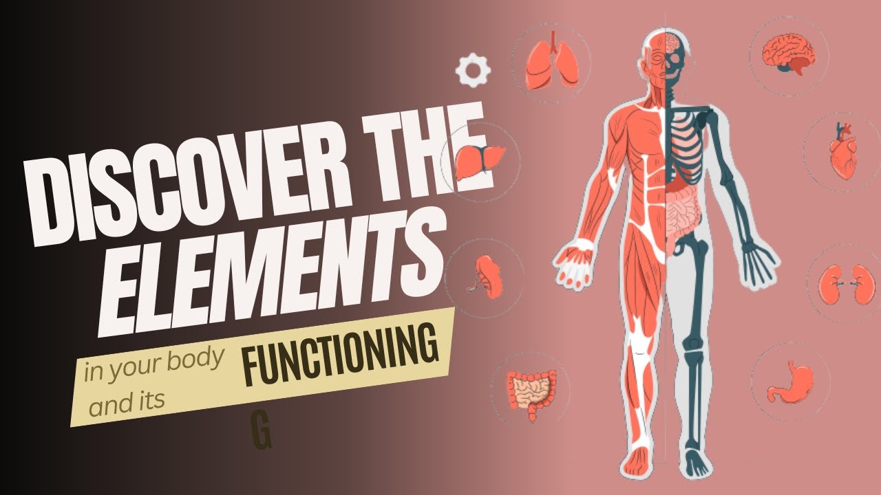 What Makes Up 96% of Your Body? | The Building Blocks of Life ...