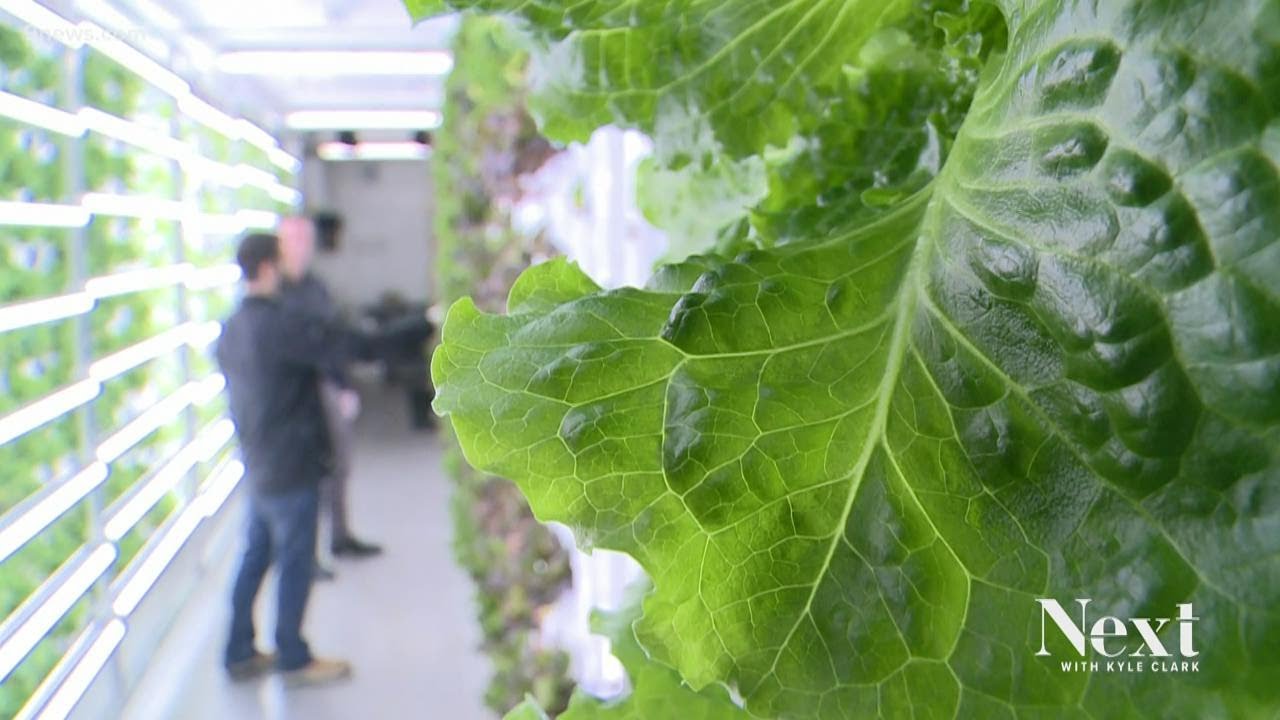 This company is building farms in shipping containers to help feed ...