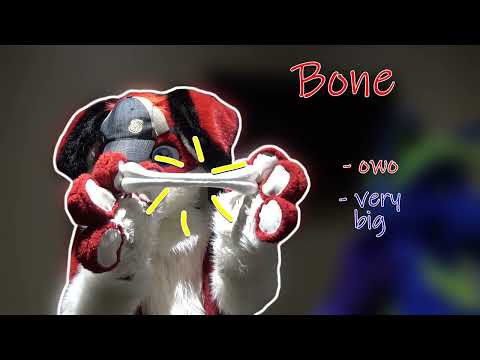 Furries Play the Booty Guess Game in Fursuit! | Odin Wolf Reupload