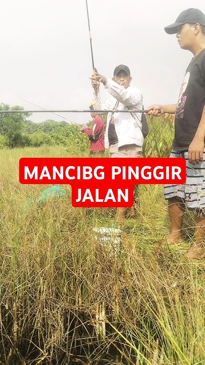 Mancing pinggir jalan #fishing #mancing - YouTube