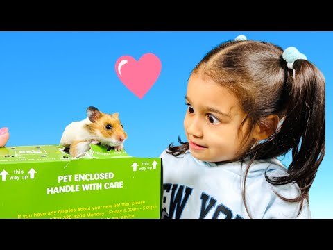 Leah Buys a New Pet and all accessories for him at Pet Shop 🐹🥹 - YouTube