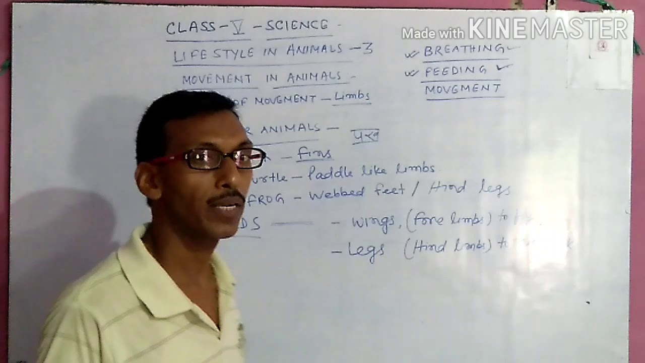 SCIENCE CLASS 5 - LIFESTYLE IN ANIMALS 3 - YouTube