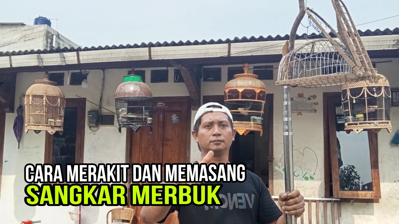 Cara memasang jebakan burung perkutut - YouTube