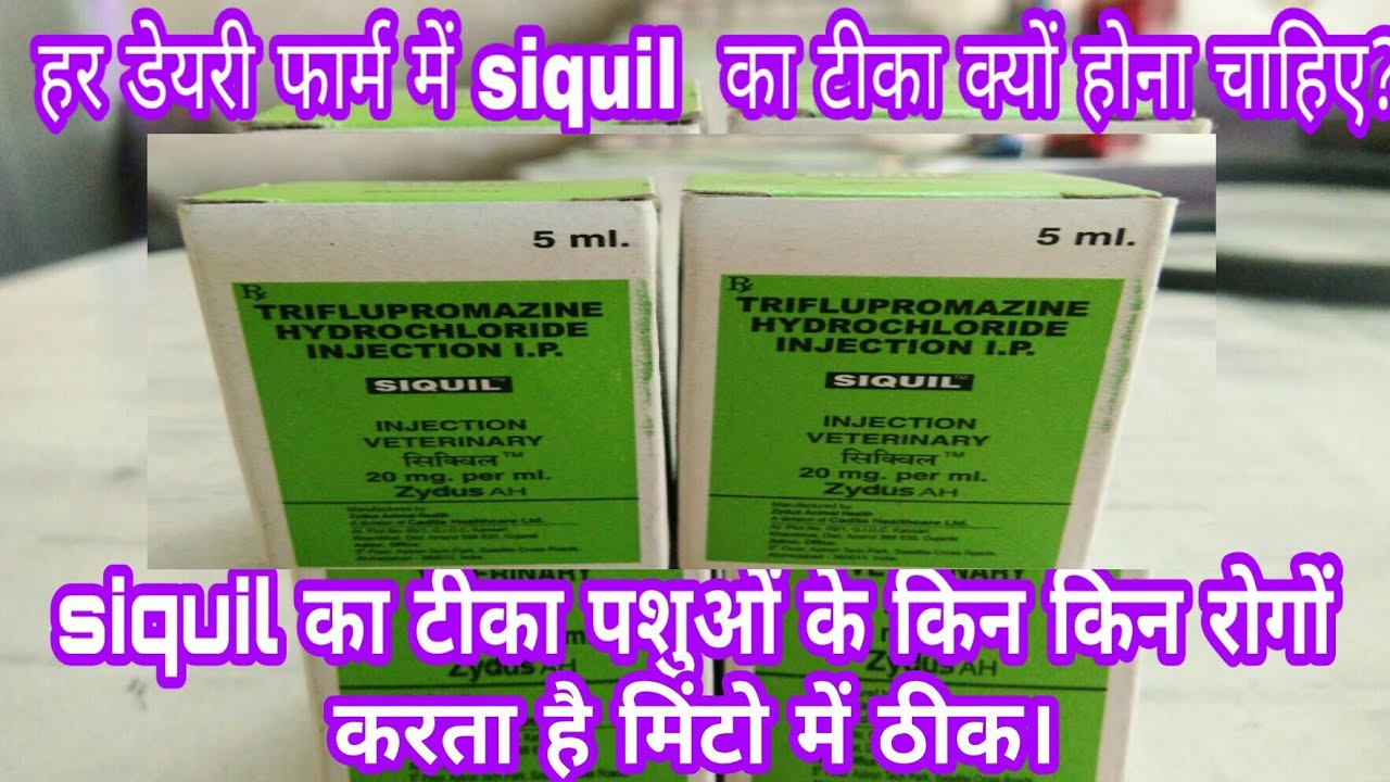 पशुओं के फूल दिखाना और किन किन रोगो को ठीक करता है सीक्वेल टीका,why ...