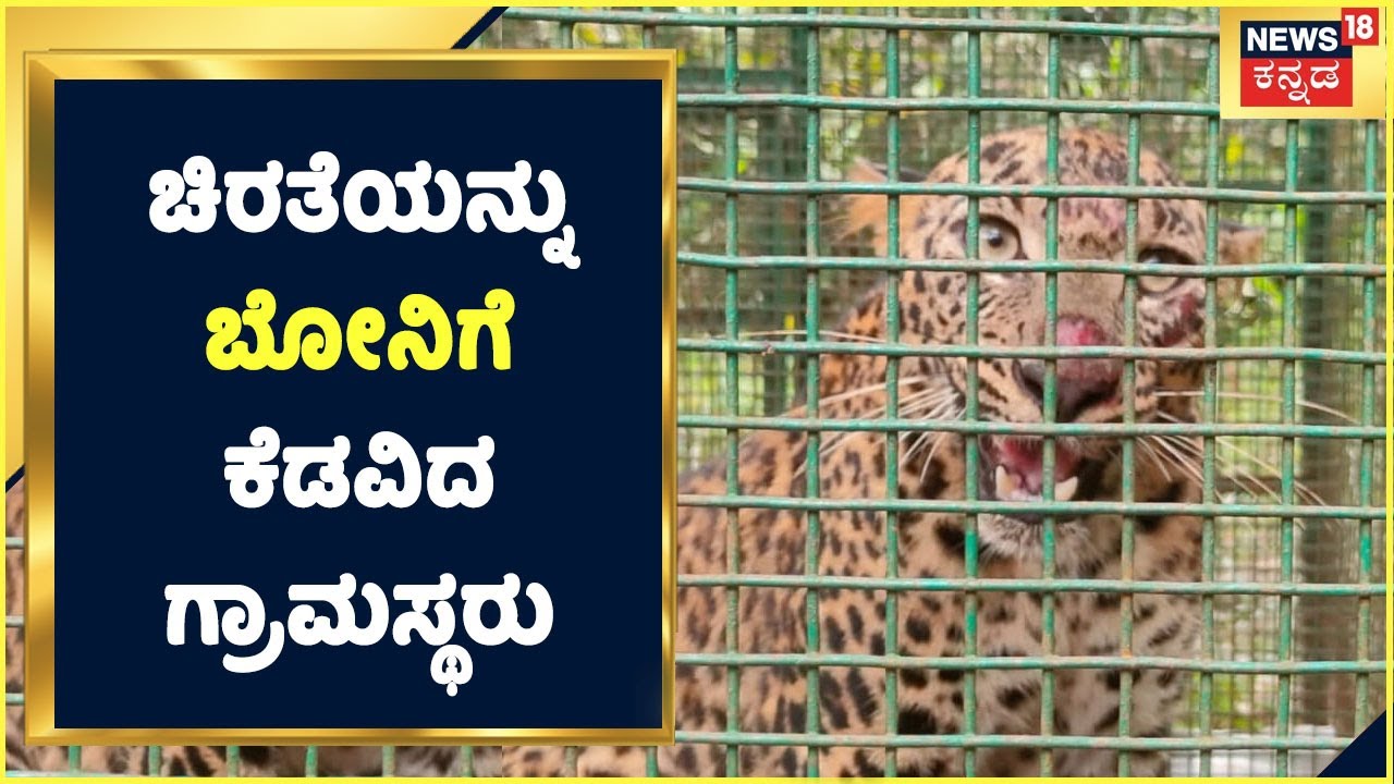 Udupi | ಅರಣ್ಯ ಇಲಾಖೆ ಸಹಾಯದಿಂದ ಚಿರತೆಯನ್ನ ಬೋನಿಗೆ ಕೆಡವಿದ ಗ್ರಾಮಸ್ಥರು ...